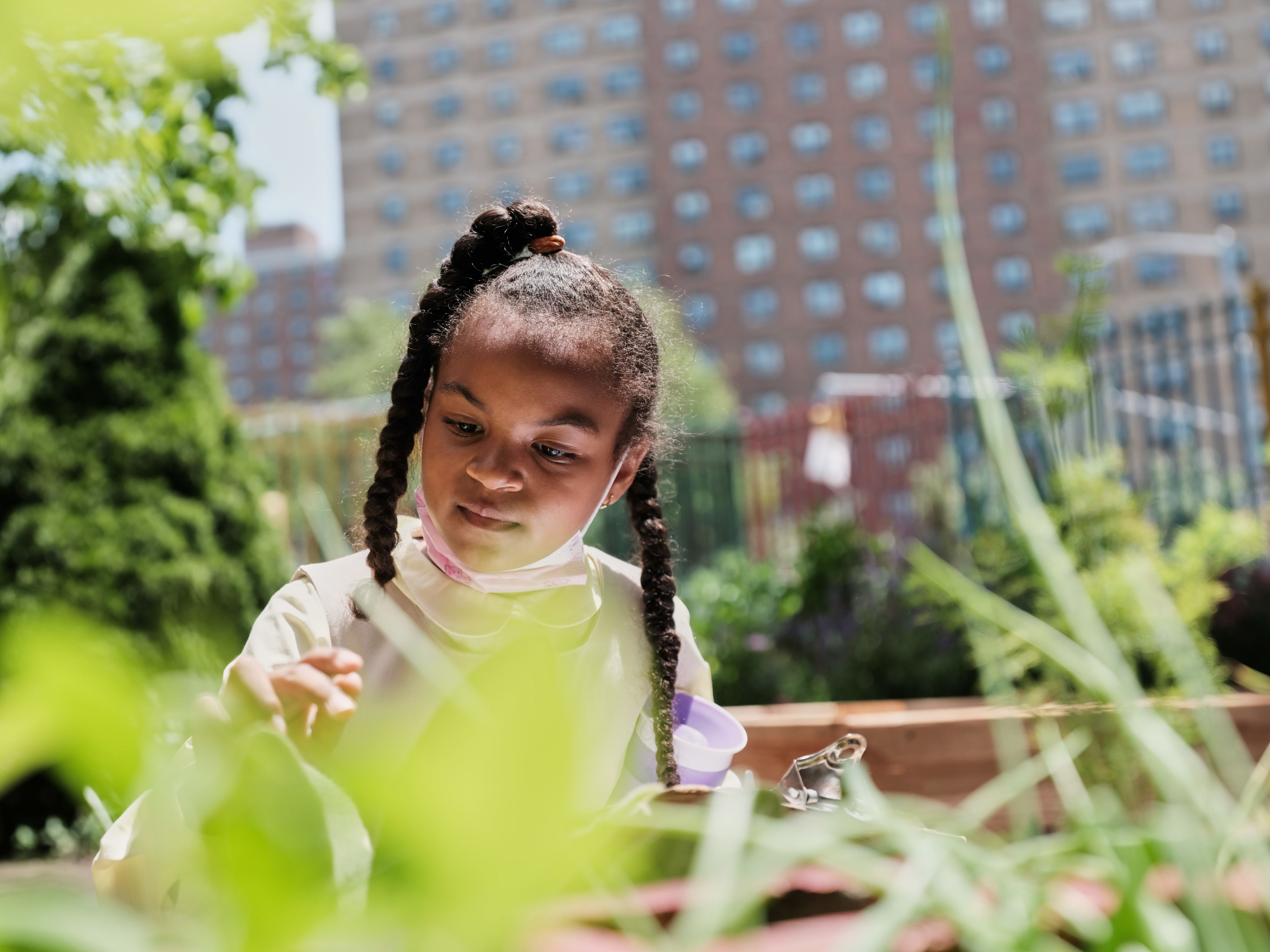 Edible Schoolyards - Tarsadia Foundation
