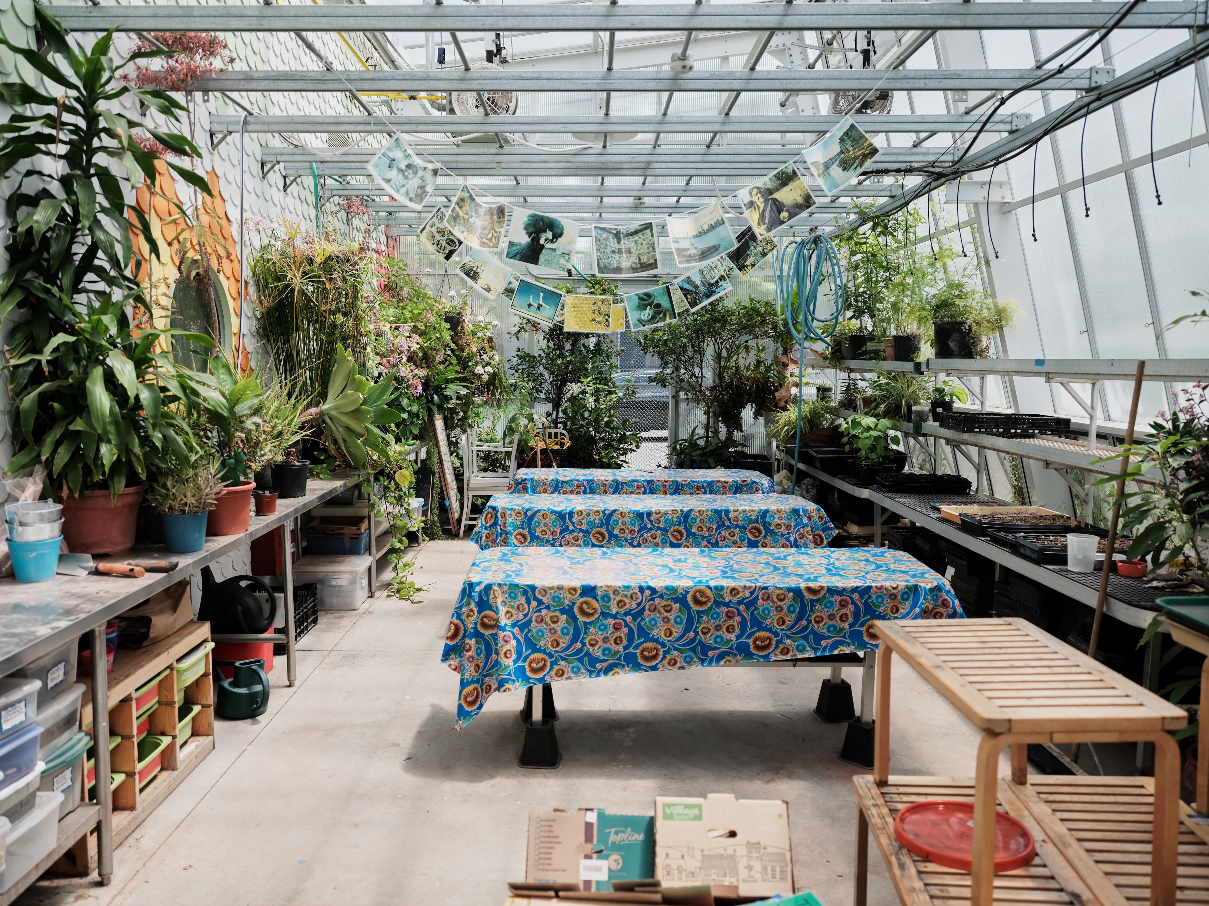 Edible Schoolyards - Tarsadia Foundation