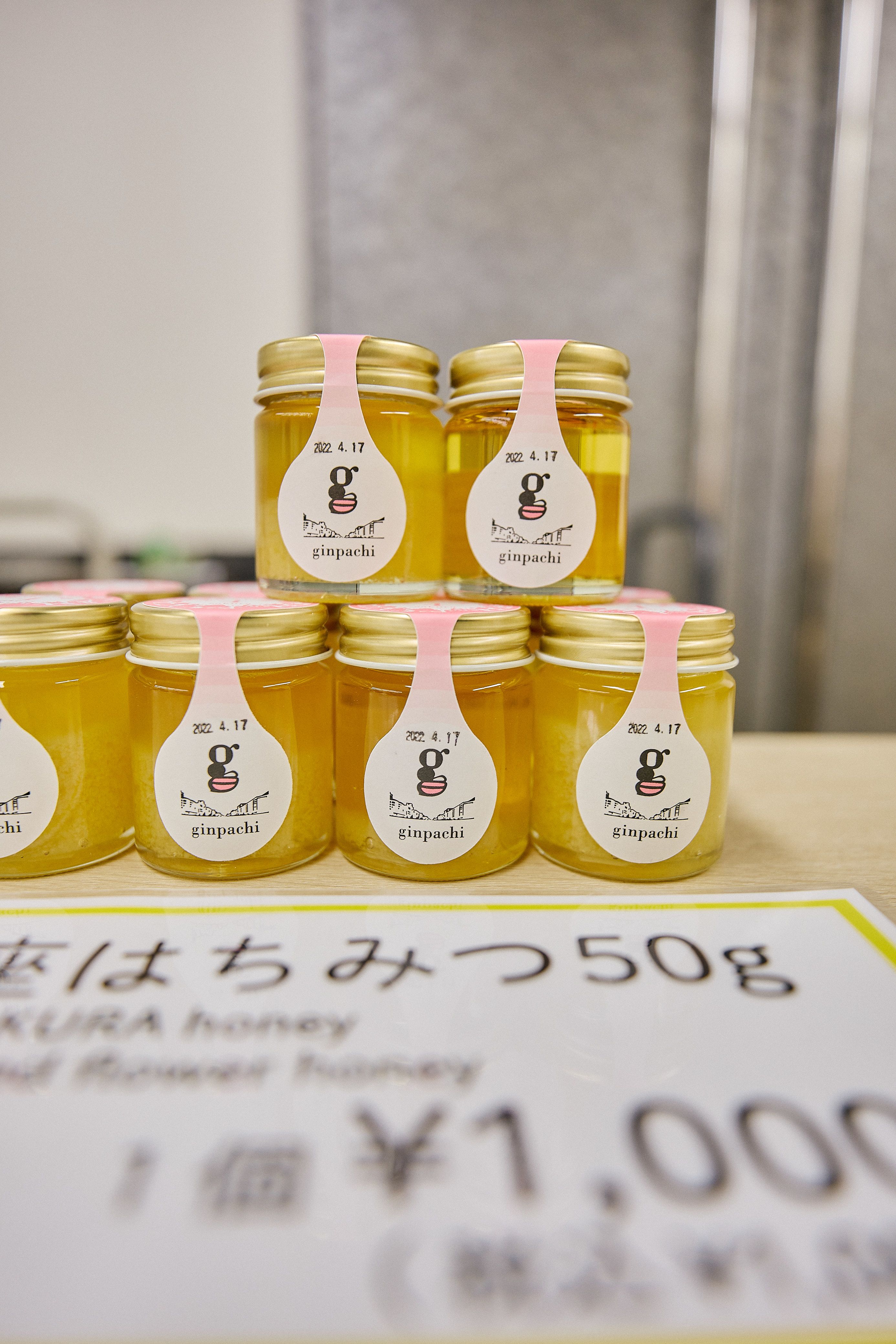 Exploring Japan - Tarsadia Foundation